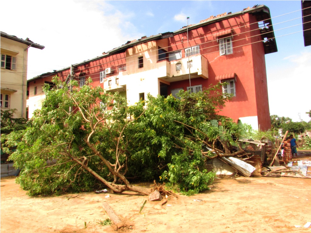 Mini Cyclone in Periyaneelavanai – More than 400 houses damaged | Tamil ...